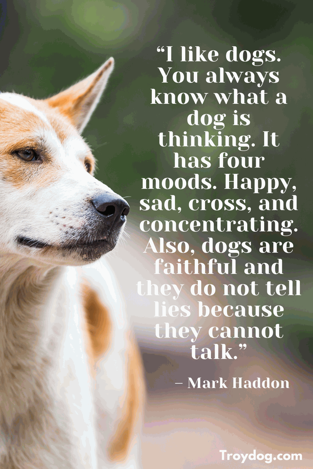 20 Dog Quotes by Famous Personalities - Troydog: Home of Happy Dogs